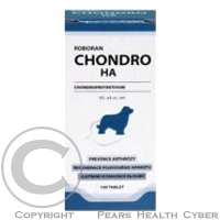 ROBORAN Chondro HA pro psy 100 tablet - Lékárna.cz